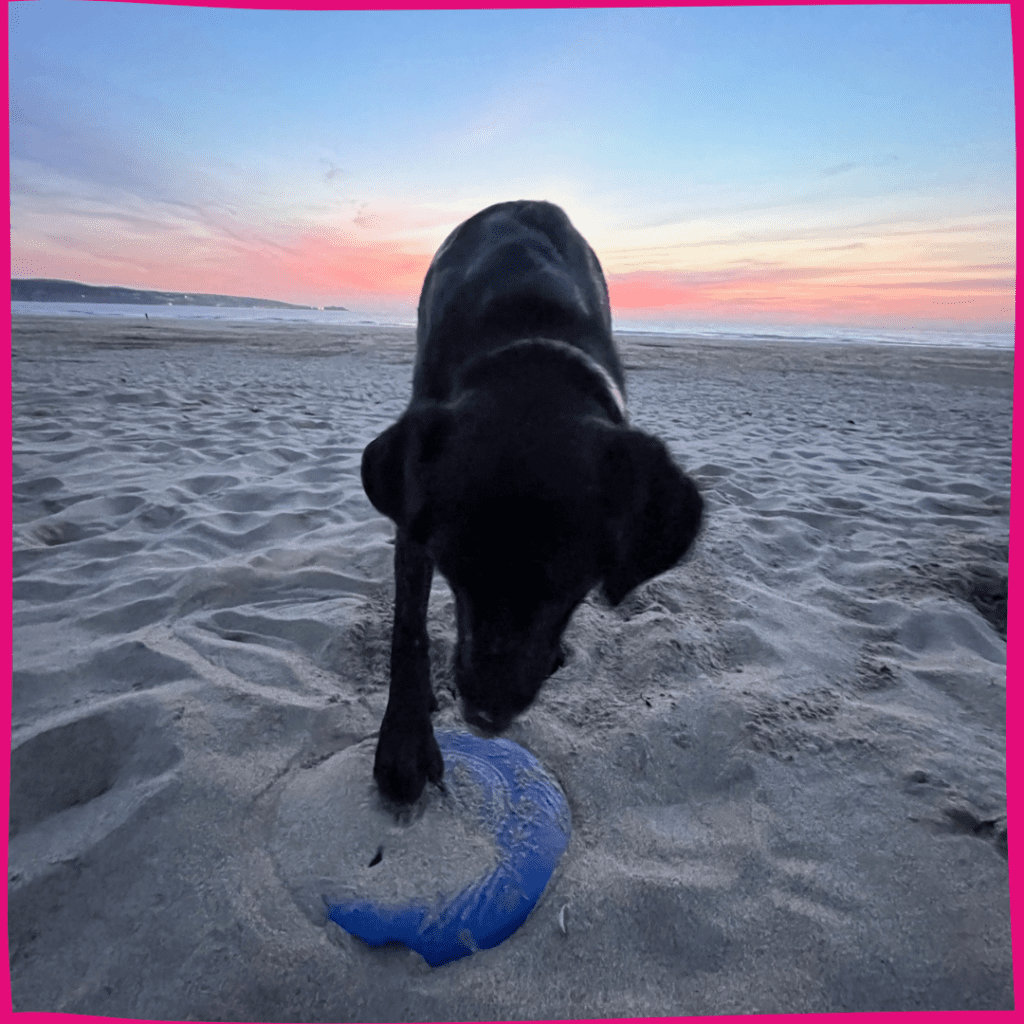 Legal Marketing Agency - Meet the Team - Chloe Mann - ELE Rocks