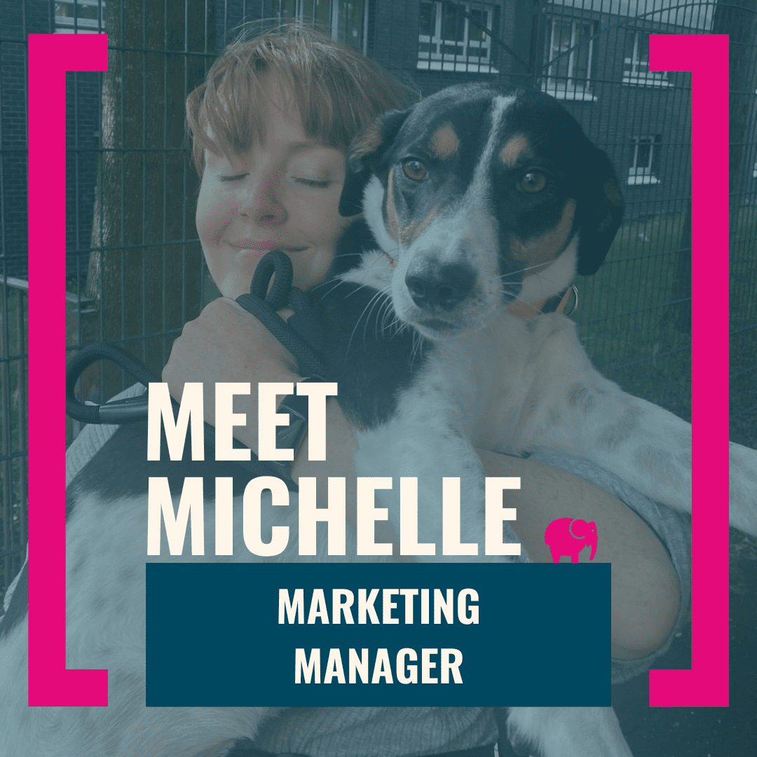 Legal Marketing Agency - Meet the team - ELE Rocks